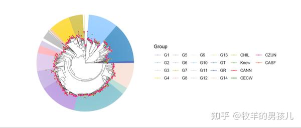 跟着BMC Plant Biology学作图：R语言ggtree圆形树形图并添加分组背景色 - 知乎