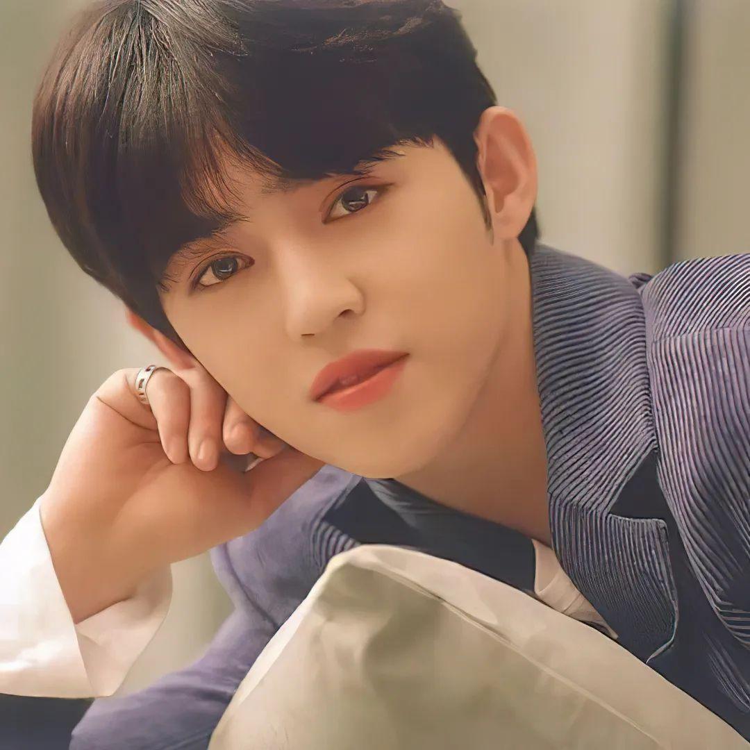4K头像 | SEVENTEEN S.COUPS 崔胜澈合集 - 知乎