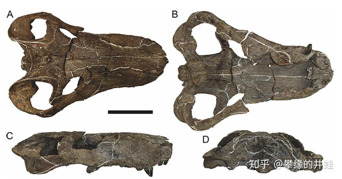 【地球演义】百兽图6：惊饕餮 - 知乎