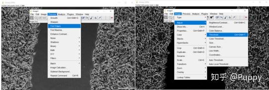 科研干货 | 教你如何玩转多功能处理工具Image J - 知乎
