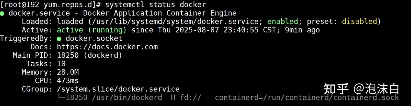 unable to configure the Docker daemon with file /etc/docker/daemon.json: invalid character 'Â ...