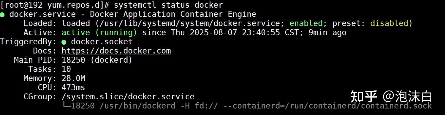 unable to configure the Docker daemon with file /etc/docker/daemon.json: invalid character 'Â ...