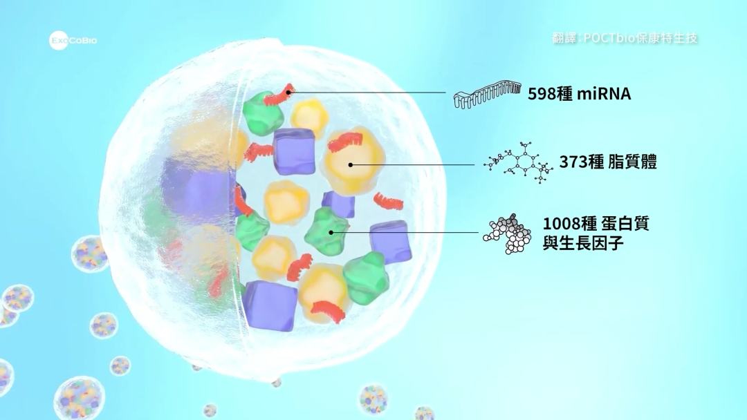 最近听说细胞外泌体很火，到底什么是细胞外泌体？ - 知乎