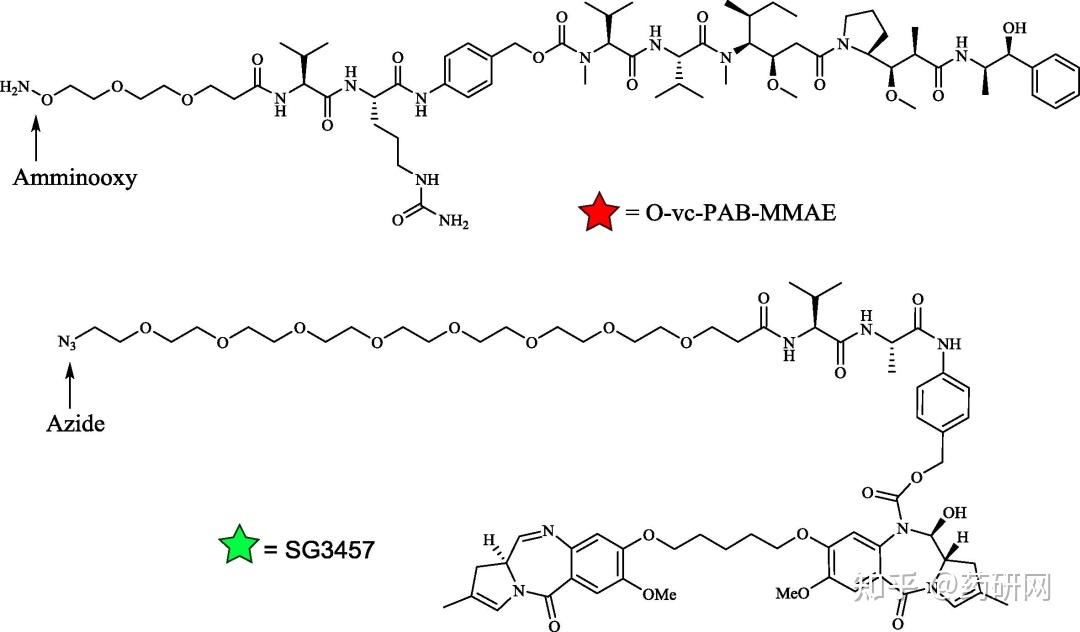 双载荷ADC的发展 - 知乎