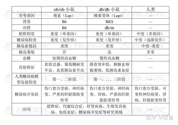 DBDB、OBOB二型糖尿病小鼠 - 知乎