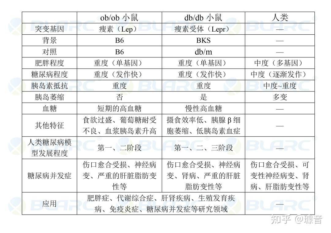 DBDB、OBOB二型糖尿病小鼠生理数据剖析 - 知乎