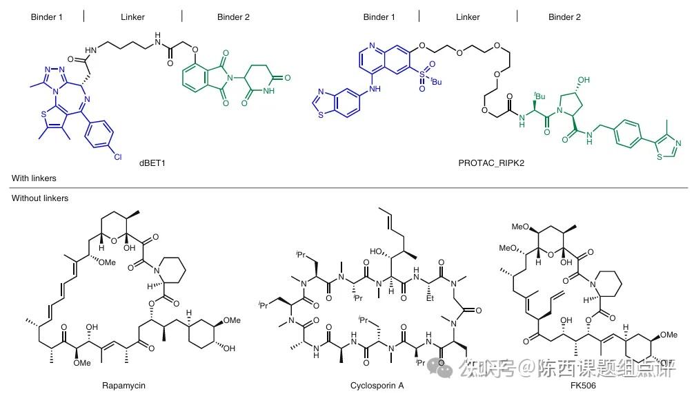 Nat. Chem. Biol. 【综述回顾】| 双功能临近诱导小分子调控细胞进程的统一性原理 - 知乎