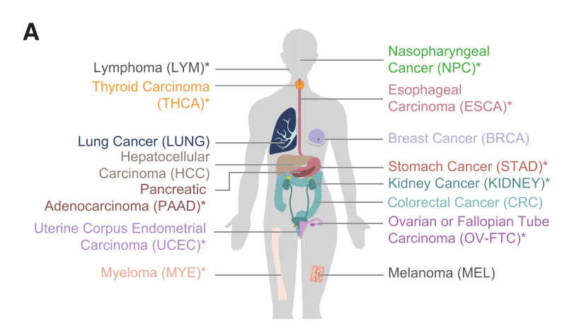 PKU文献·A pan-cancer single-cell transcriptional atlas of tumor ...