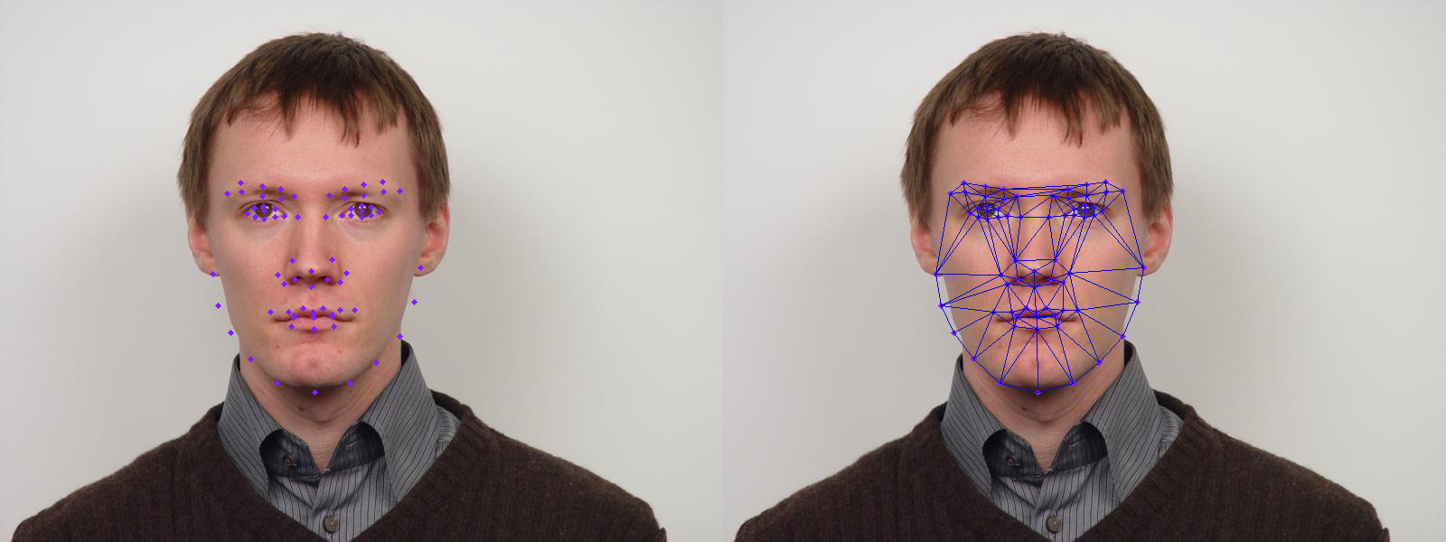 基于主动外观模型 Active Appearance Model 的图像分割——原理与 python 实现 - 知乎