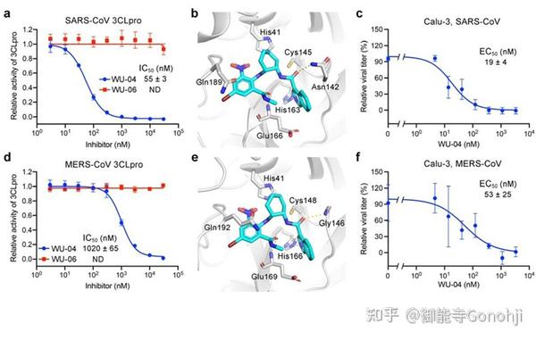 高效SARS-CoV-2 3CLpro非共价抑制剂的开发——中国自主研发新冠药物的发展历程 - 知乎