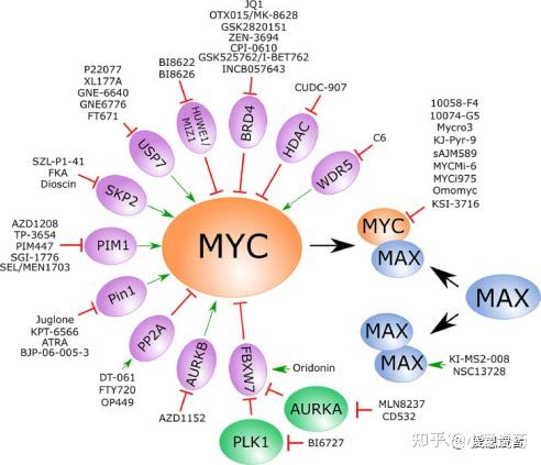 《普创新》全面助力新药研发，挑战“不可成药”靶点之_C-Myc - 知乎
