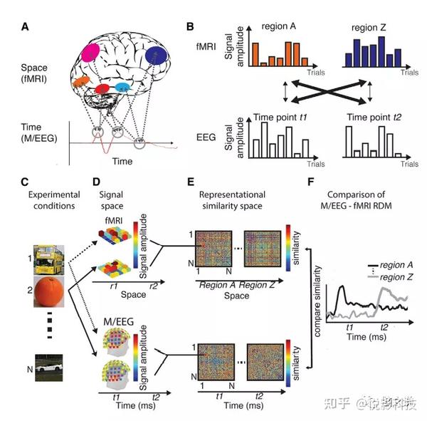 EEG/MEG-fMRI融合初识:在空间和时间上解析人脑反应 - 知乎