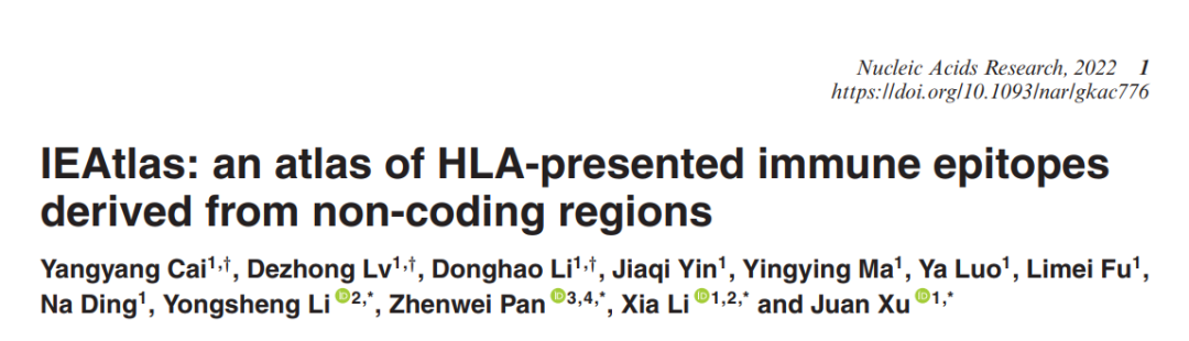 NAR︱哈尔滨医科大学徐娟团队识别非编码区域的HLA呈递的免疫表位图谱 - 知乎