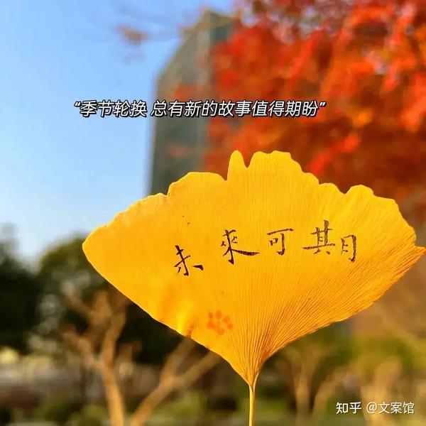 适合秋天的浪漫文案短句 知乎