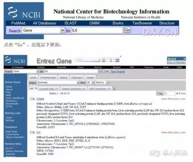 一步一步教你使用 NCBI 查找DNA、mRNA、cDNA、引物设计、BLAST 序列比对等 - 知乎