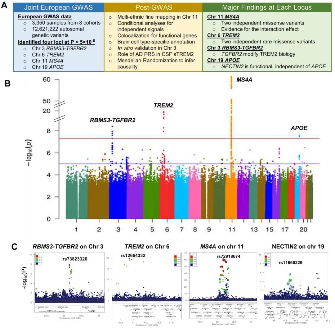 sTREM2在阿尔茨海默病中发挥了因果关系(可能是可改变的)作用 - 知乎