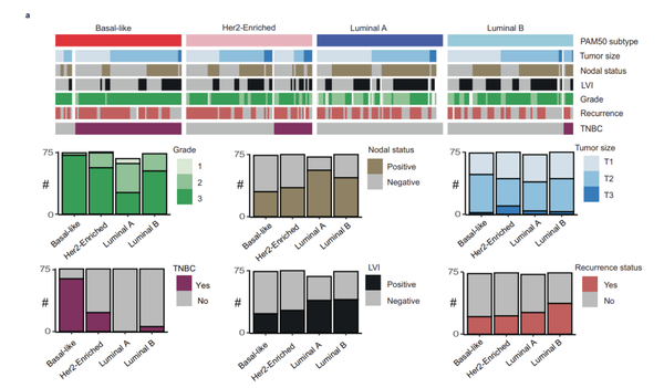 文献解读 | 蛋白质组学分析确定乳腺癌潜在生物标志物和治疗靶点 - 知乎