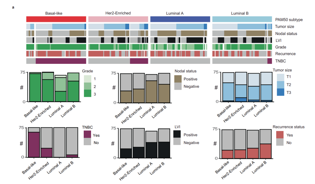 文献解读 | 蛋白质组学分析确定乳腺癌潜在生物标志物和治疗靶点 - 知乎