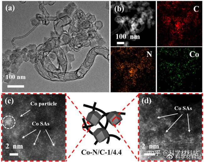 厦门大学孙世刚教授、姜艳霞教授，CEJ：原位生长的碳纳米管助力Co-N/C催化剂质子交换膜燃料电池 - 知乎