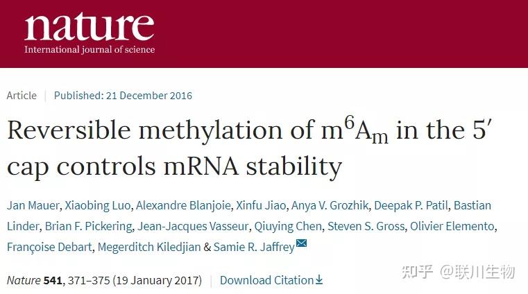 m6A去甲基化酶FTO的难产之路 | m6A八卦故事 - 知乎