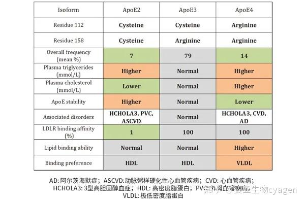 谁才是老年痴呆元凶？亦正亦邪的APOE三兄弟 - 知乎