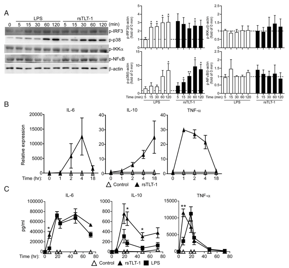 免疫学杂志丨可溶性 TREM 样转录物 1 通过 TLR4/MD2 通路作为损伤相关分子模式在脓毒症期间导致免疫失调 - 知乎