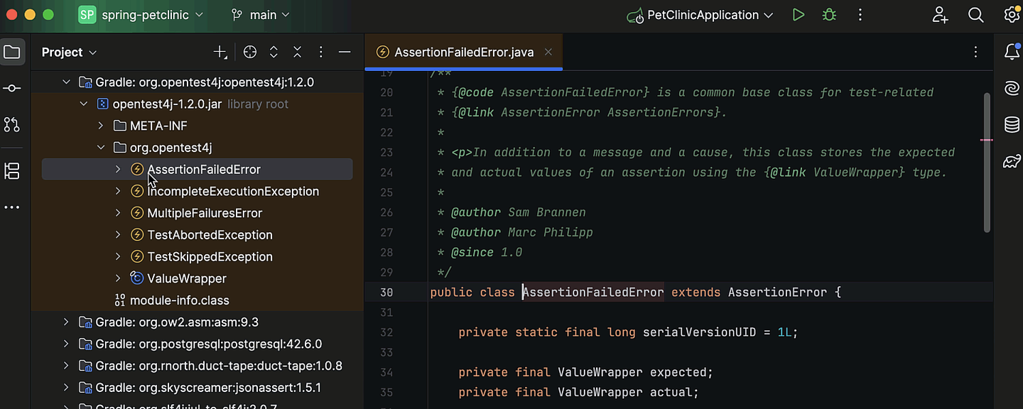 IntelliJ IDEA 2025.1 发布！Java 24 支持、AI 重大更新！！ - 知乎