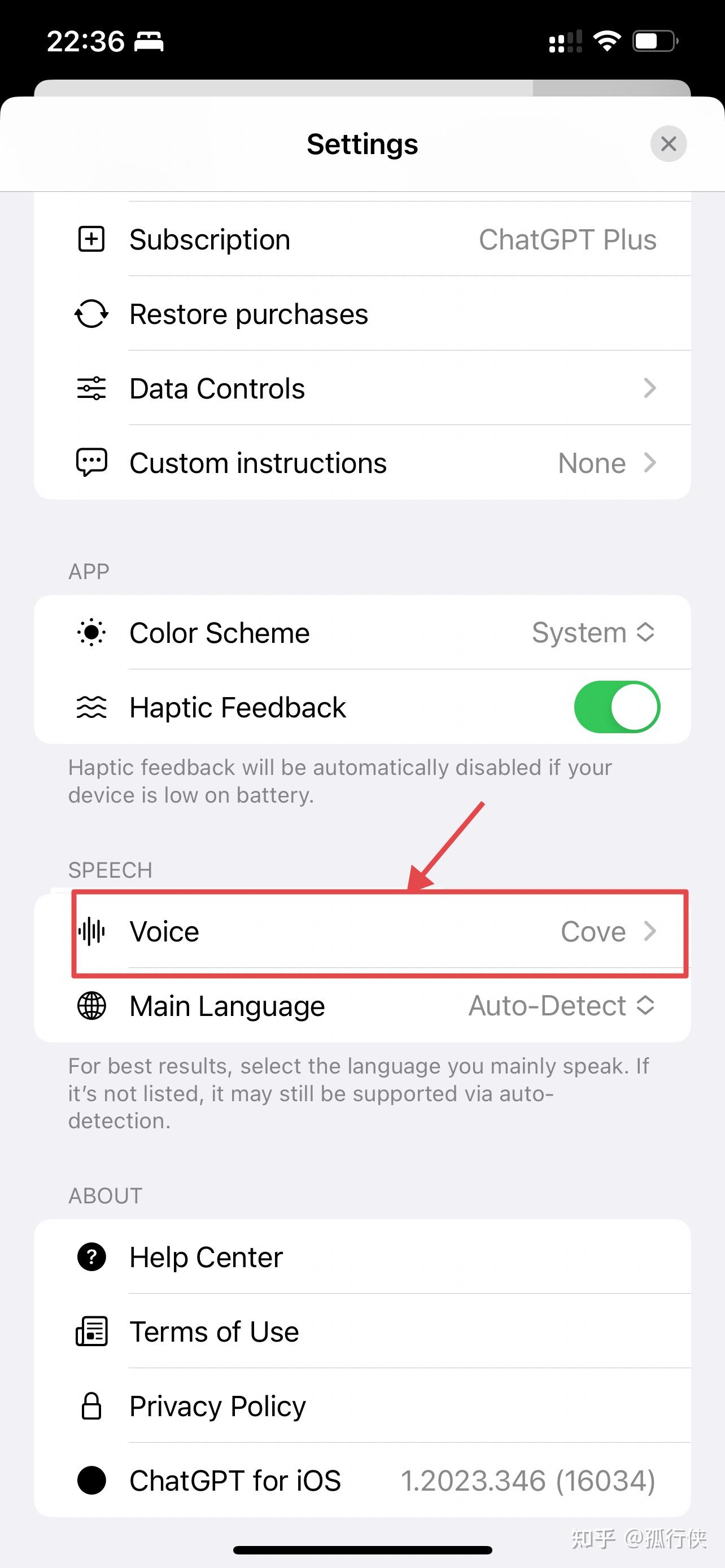 如何在Iphone手机和ChatGPT语音聊天？ - 知乎