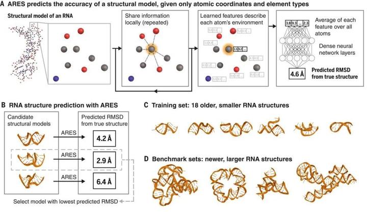 斯坦福大学Science：RNA结构的几何深度学习 - 知乎