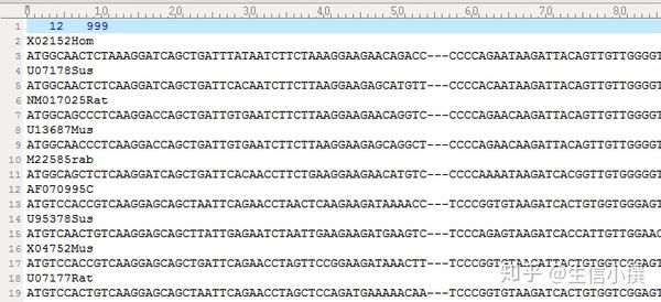 【比较基因组】如何利用paml计算kaks - 知乎