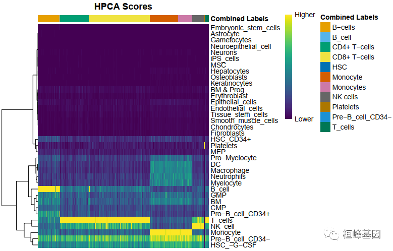 SCS【6】单细胞转录组之细胞类型自动注释 (SingleR) - 知乎
