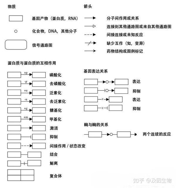 KEGG数据库最全介绍，一起来看看吧 - 知乎