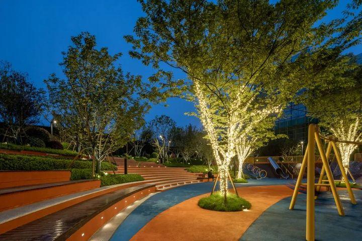 干货 | 种植池里的那些树！ - 知乎