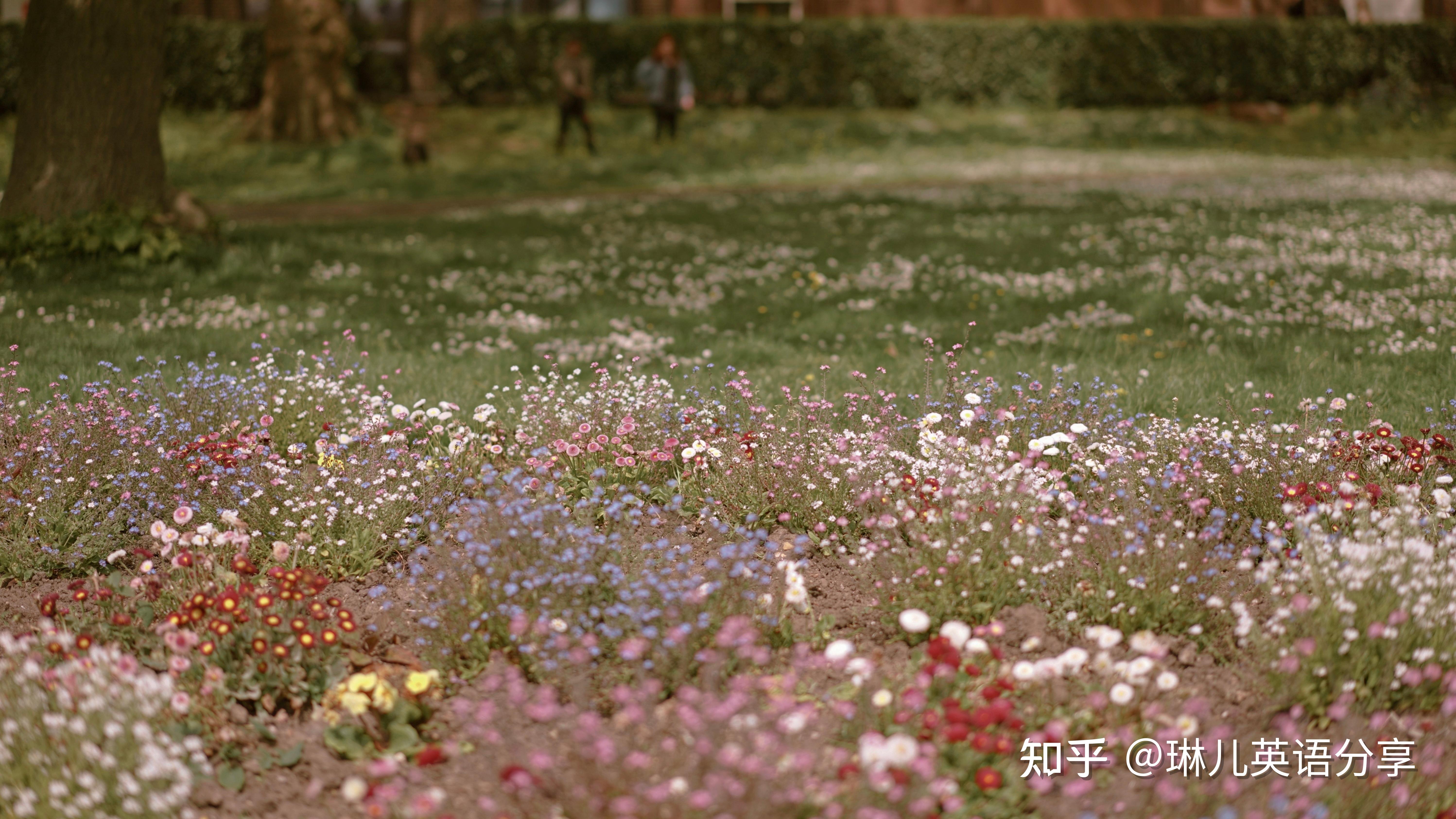 英语词性转换归纳汇总 - 知乎