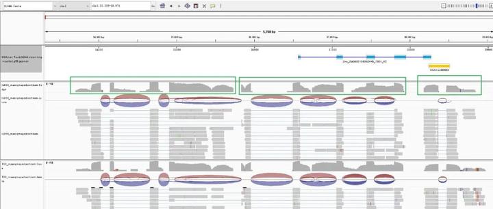 GSAman | 我「玩着游戏」就把「科研做了」 - 知乎