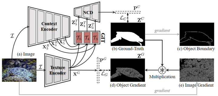 【DGNet】Deep Gradient Learning for Efficient Camouflaged Object Detection - 知乎