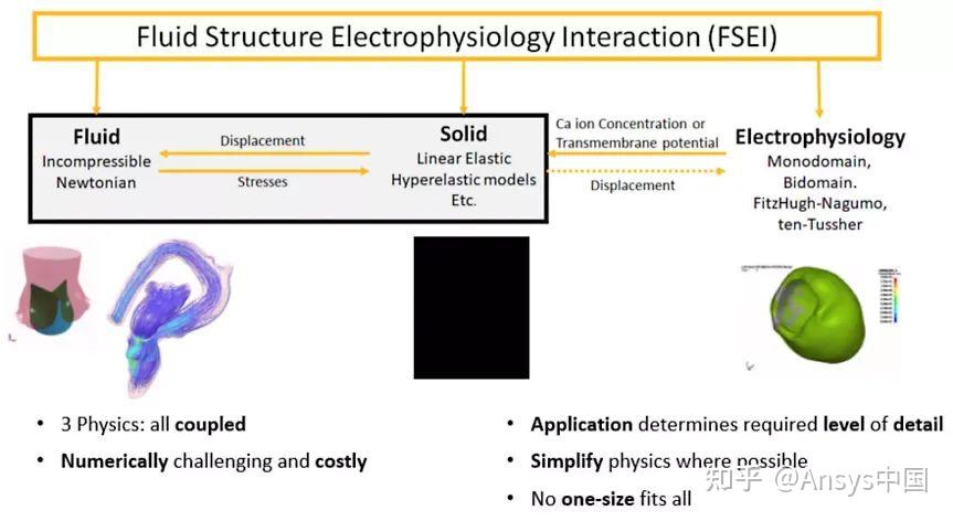 Ansys在生物医疗仿真方面有哪些应用？ - 知乎