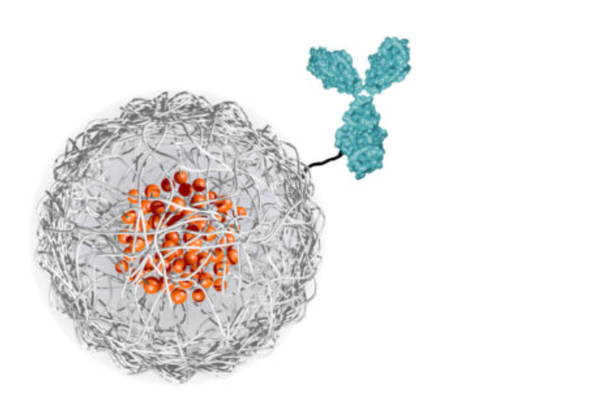 新型ADC，一个抗体携带60个载荷分子 - 知乎