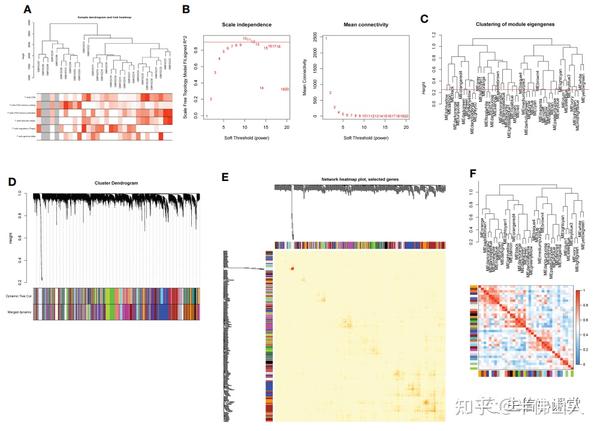 8+非肿瘤结合泛癌纯生信，识别CD8T细胞相关的hub基因，思路新颖值得模仿！ - 知乎