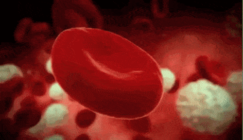 潜在的疾病诊断价值！我国学者首次证实，红细胞拥有大片段DNA具有诊断价值 - 知乎