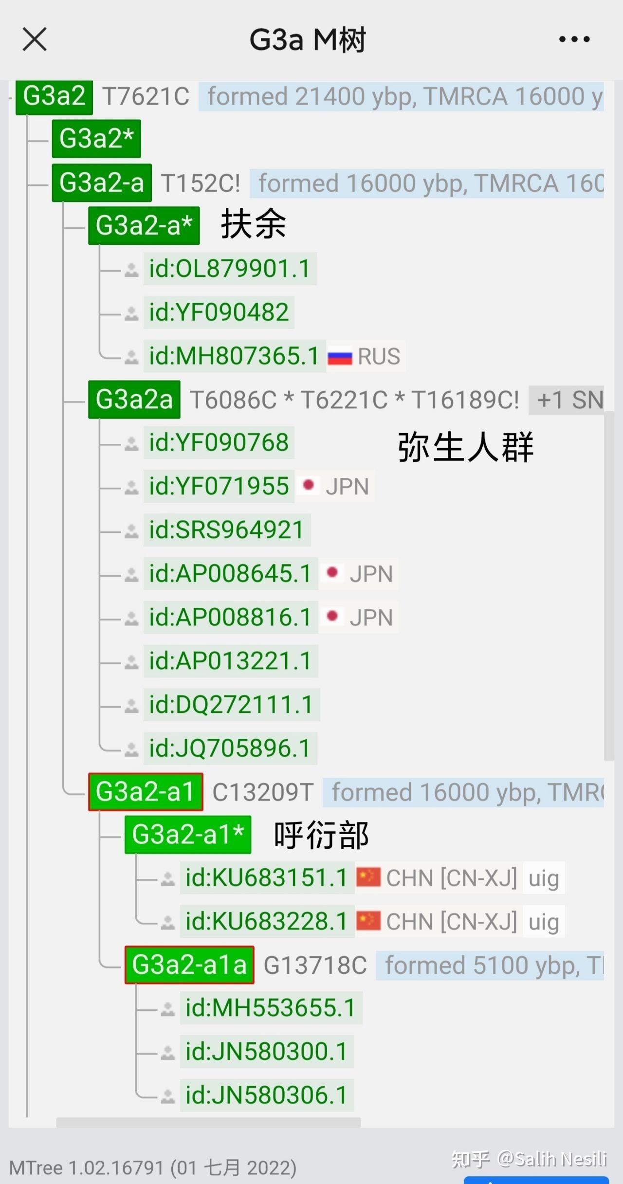 马保晟: G3a母系 - 知乎