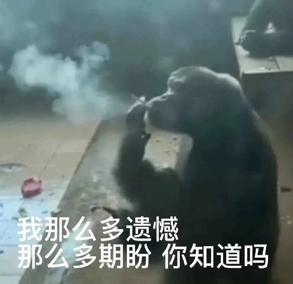 吗喽表情包、猴子表情包，高清无水印 - 知乎