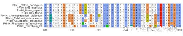 生信软件10 - DNA/RNA/蛋白多序列比对图R包ggmsa - 知乎