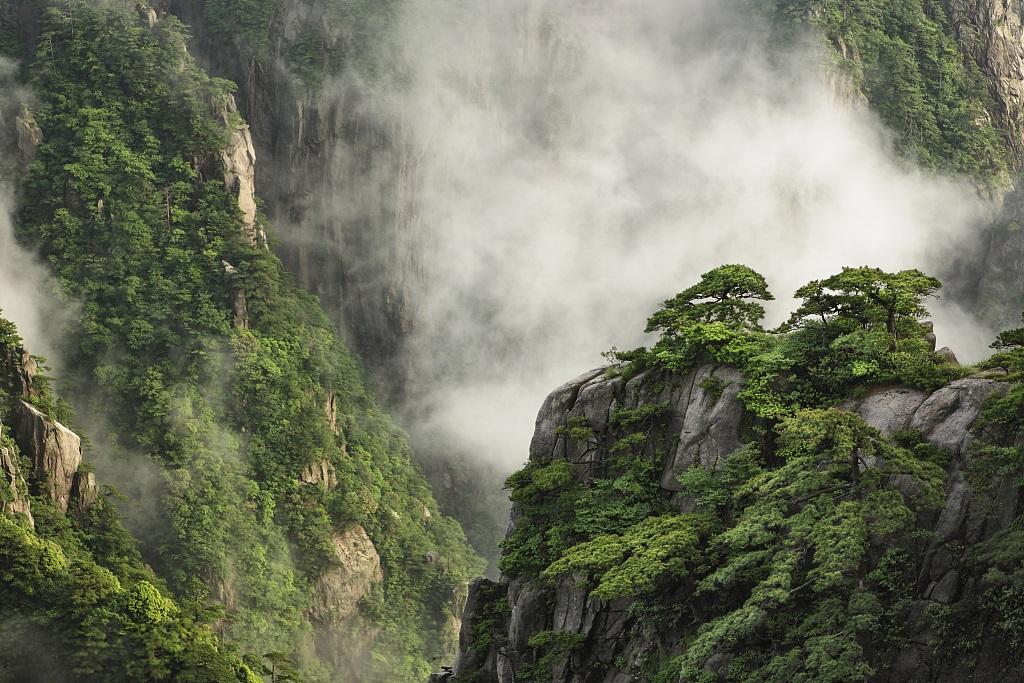 最轻松的修行方法——睡通奇经八脉，睡过欲界定、未到地定、禅定 - 知乎