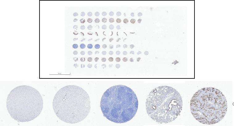 强强联合 | TMA&TSA助力生物医药产业创新发展 - 知乎