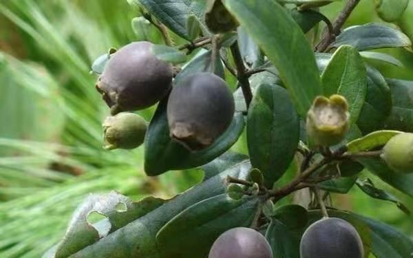 期货2W5起步，做到50W停更。 - 知乎