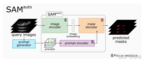 SAM-Med : A medical image annotation framework based on large vision ...