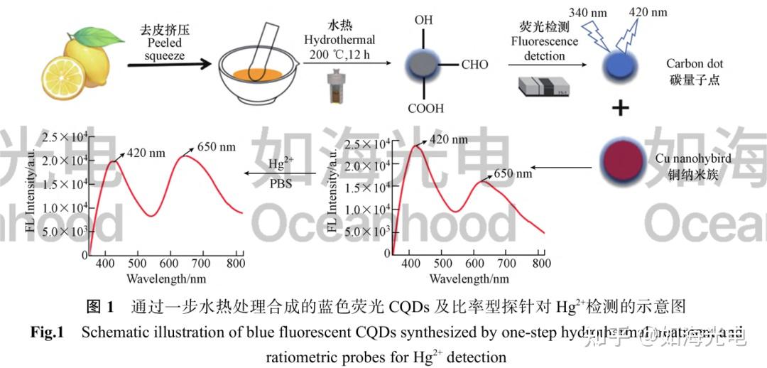 荧光光谱仪应用 | 柠檬基碳量子点/铜纳米团簇比率型荧光探针对环境水中Hg2+检测的应用 - 知乎