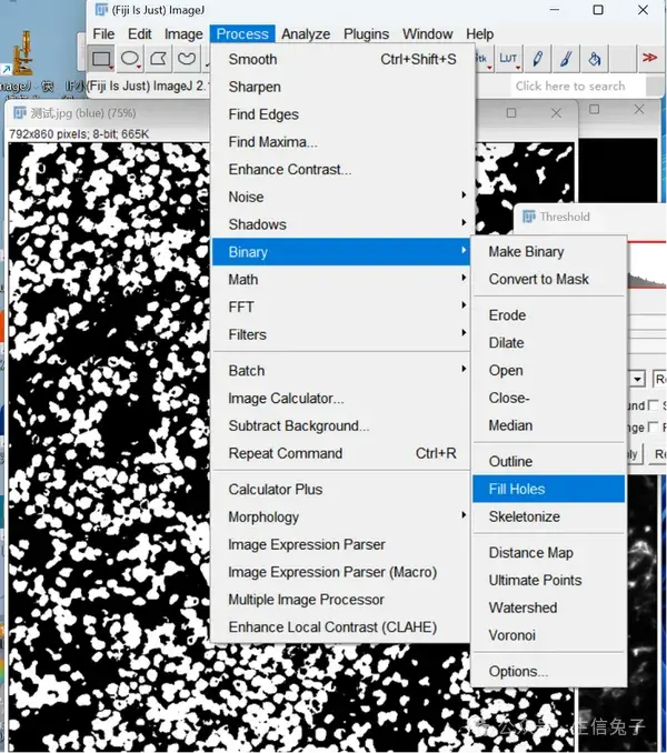 ImageJ 入门篇 | 荧光细胞计数步骤 - 知乎