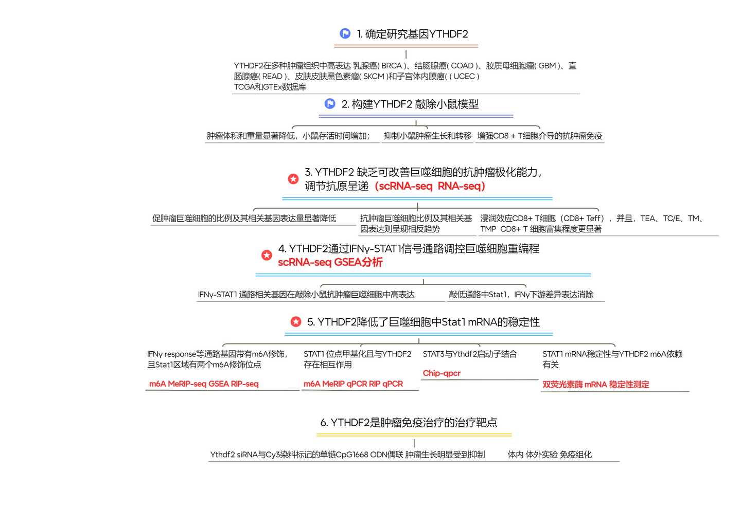 m6A+单细胞热点专题二：YTHDF2通过CD8+T细胞调控TAM重编程并控制抗肿瘤免疫 - 知乎